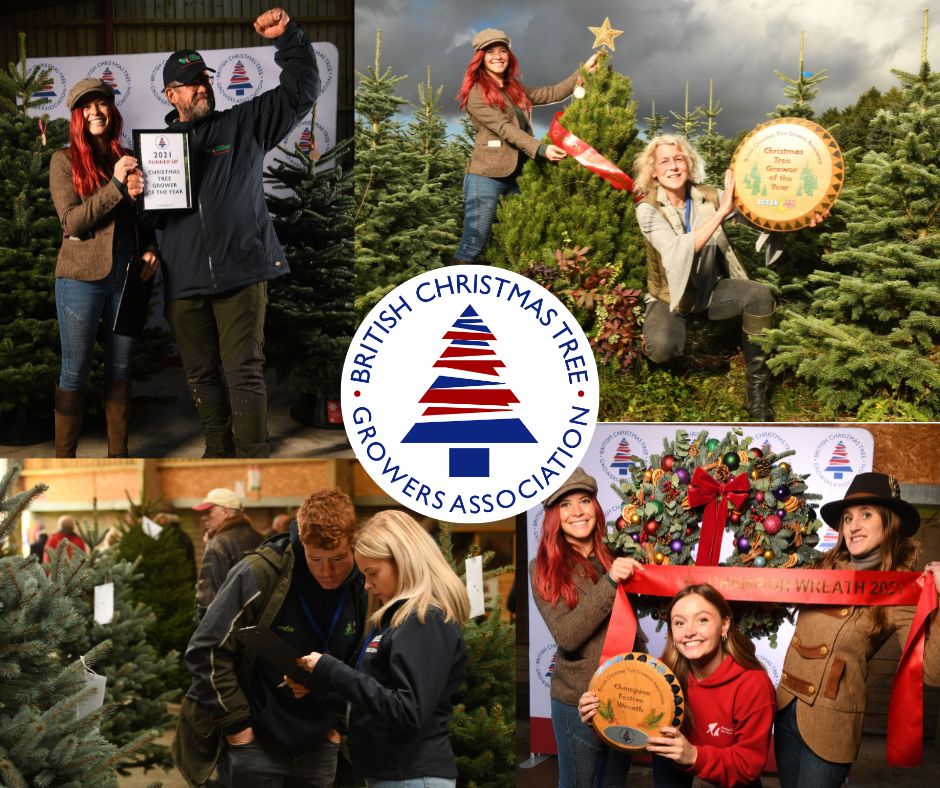 It’s Christmas Tree competition time! - The Pro Sprayers People Ltd